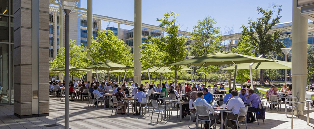 Campus Design | Pickard Chilton