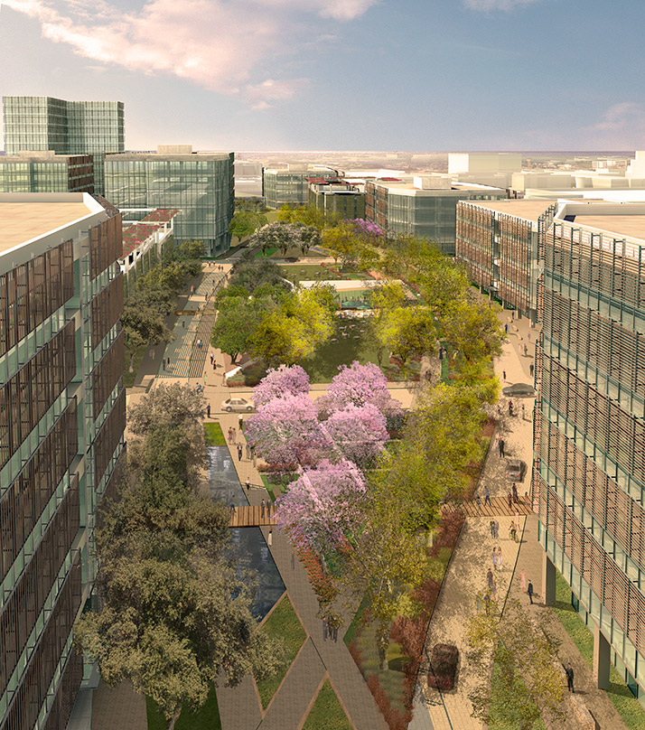 California Green | Pickard Chilton